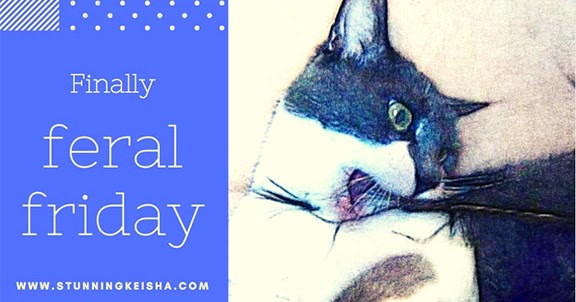 Finally Feral Friday | Stunning Keisha
