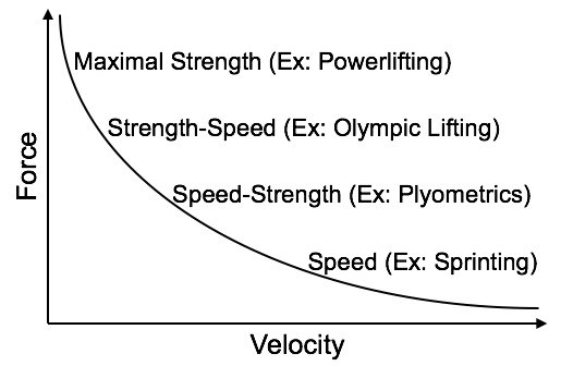 Fitness Pollenator: The Keys to Unlocking Explosive Power