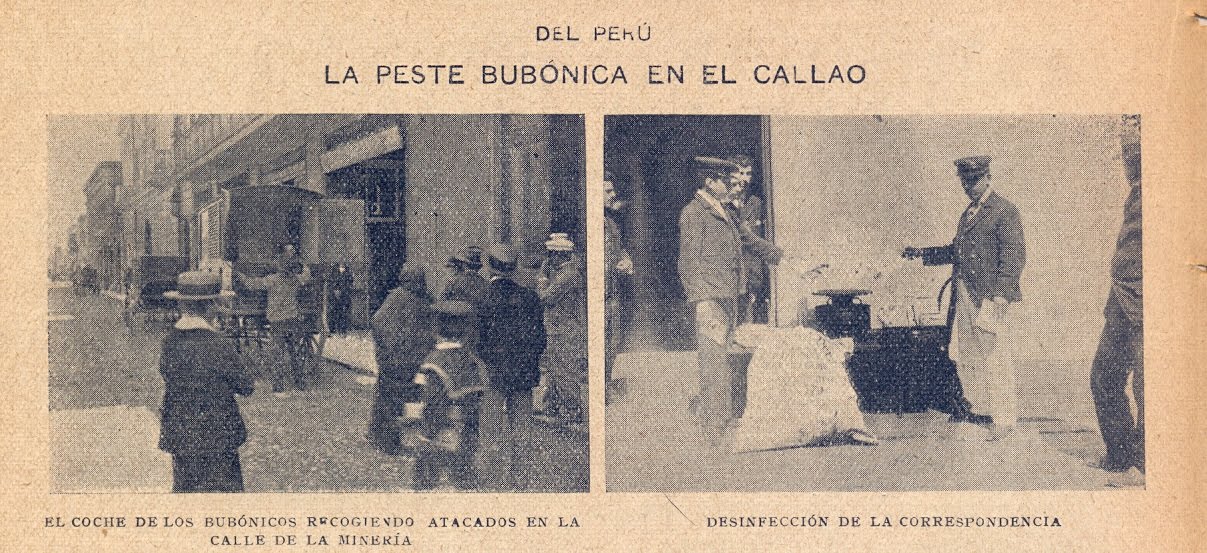 Quantulumcumque: La peste bubonica en Perú