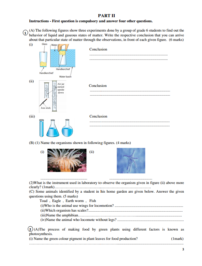 Ruwanwella Royal College Lessons Gallery: Grade 6- science