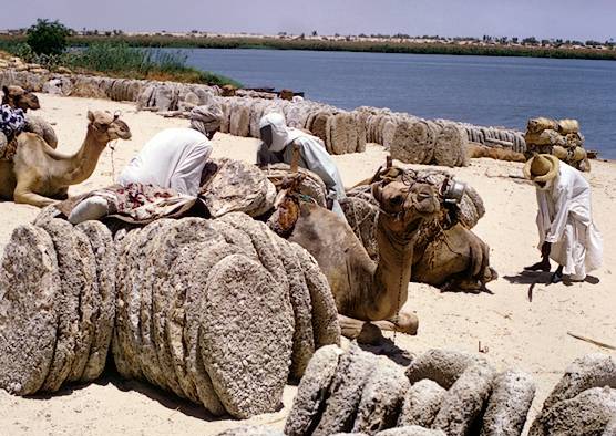 Lago Chad | Naturaleza asombrosa, maravillas naturales