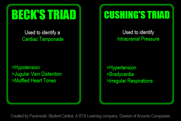 Paramedic Student Central: Triads