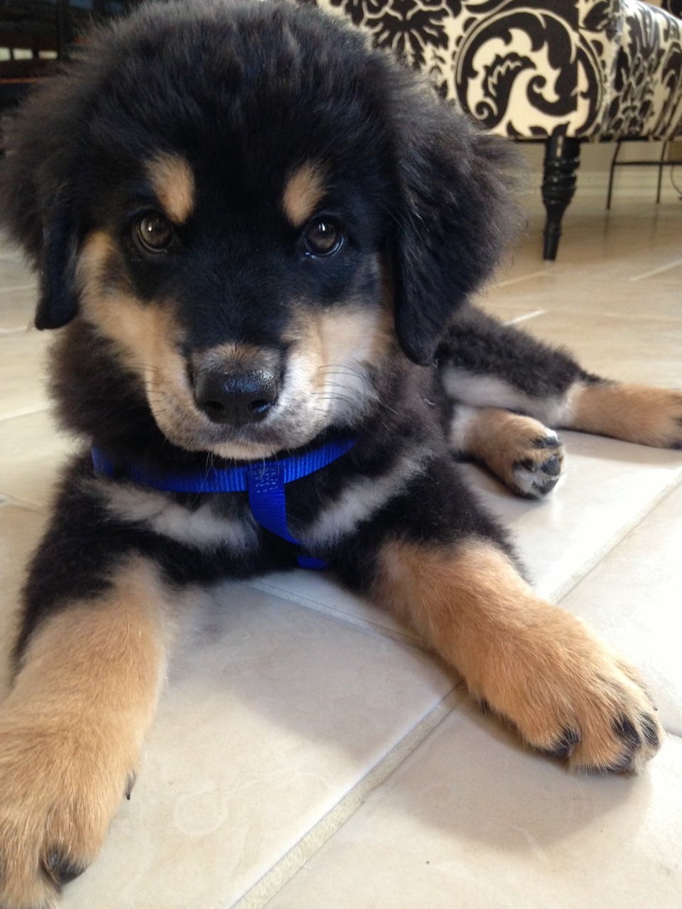 Life and Beyond: Death—part 3