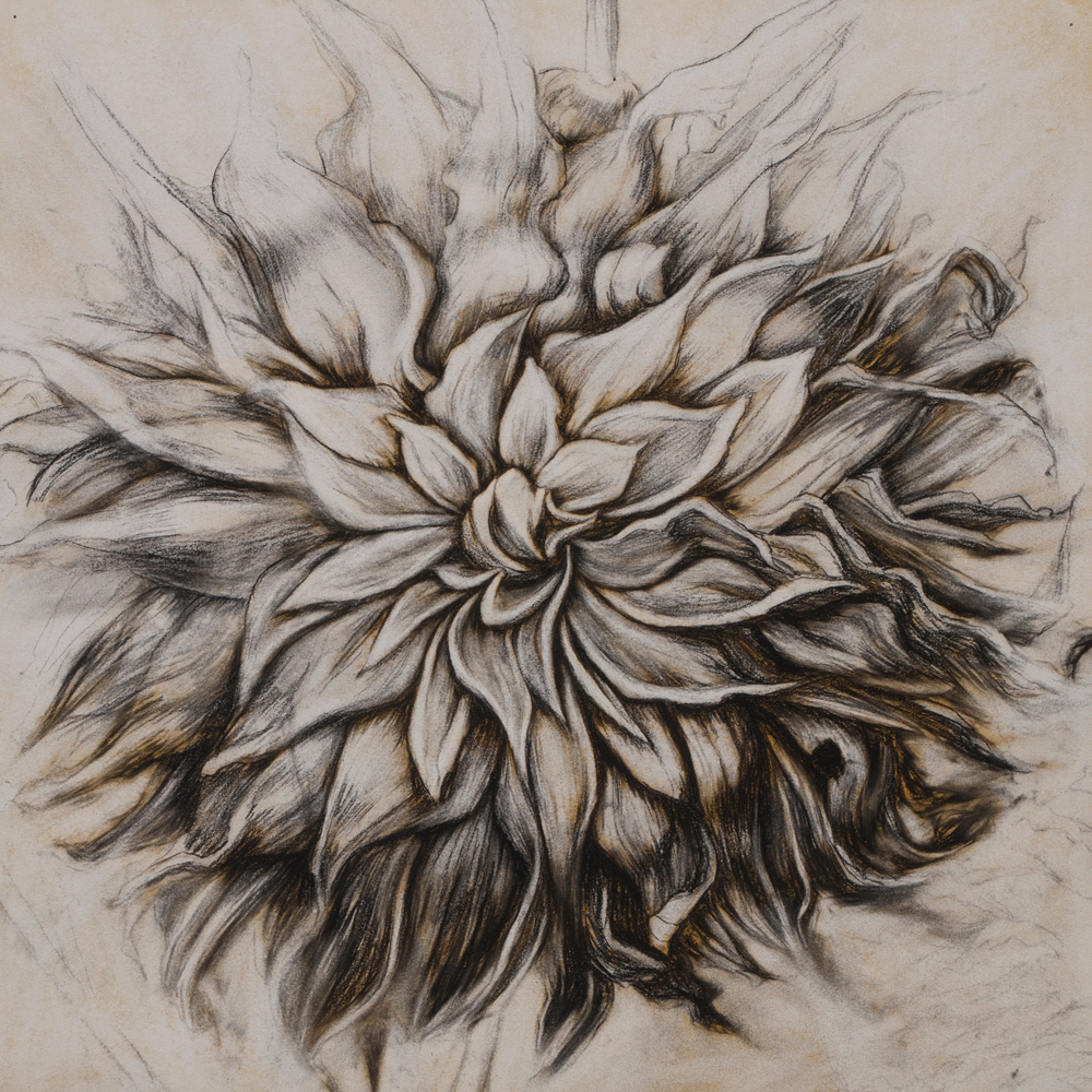 The Little Red Umbrella: Artists To Watch: Helen Gotlib