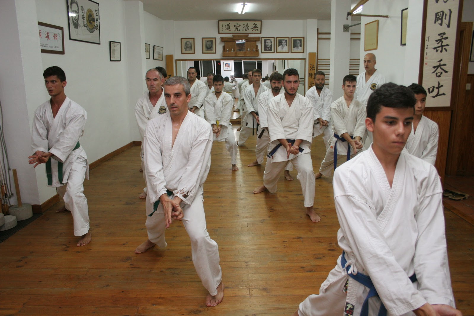 karate do tradicional goju ryu España