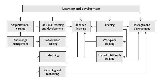 Learning and Development on Individual and Organizational Performance ...