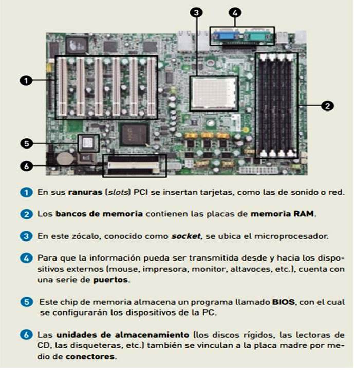 Partes internas de la computadoras