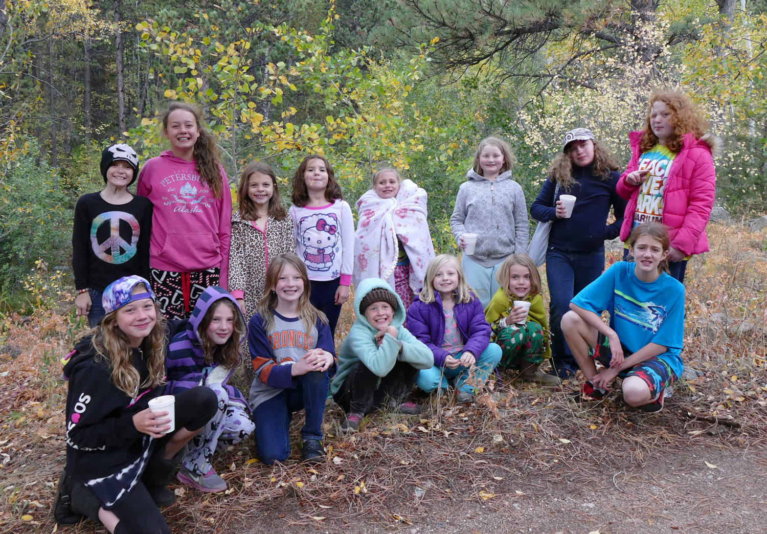 Girl Scout Troop 4288: 2017