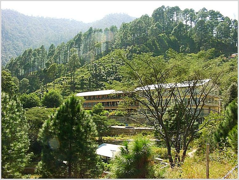 Kunsi Ashram Photo Album | Purusha at Maharishi Ashram - Kunsi ...