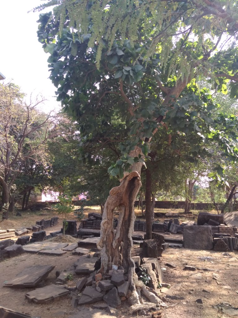 Hindu Temples of India: Kankali Devi Temple, Tigawa, Madhya Pradesh
