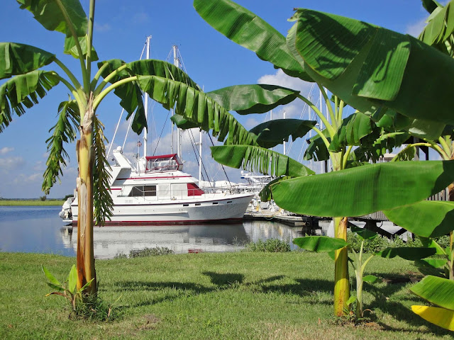 Geographically Yours: Brunswick, Georgia, USA