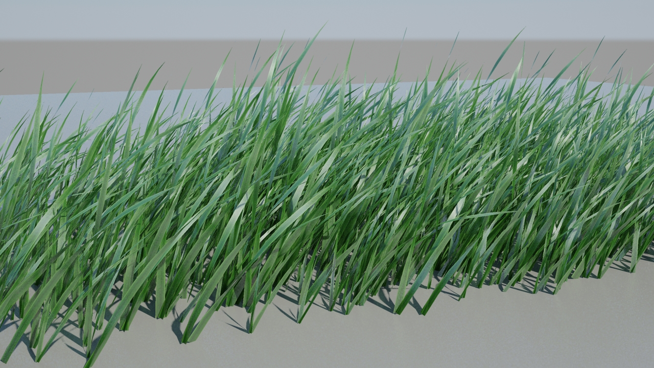 Robert Poole: Realistic Grass Test