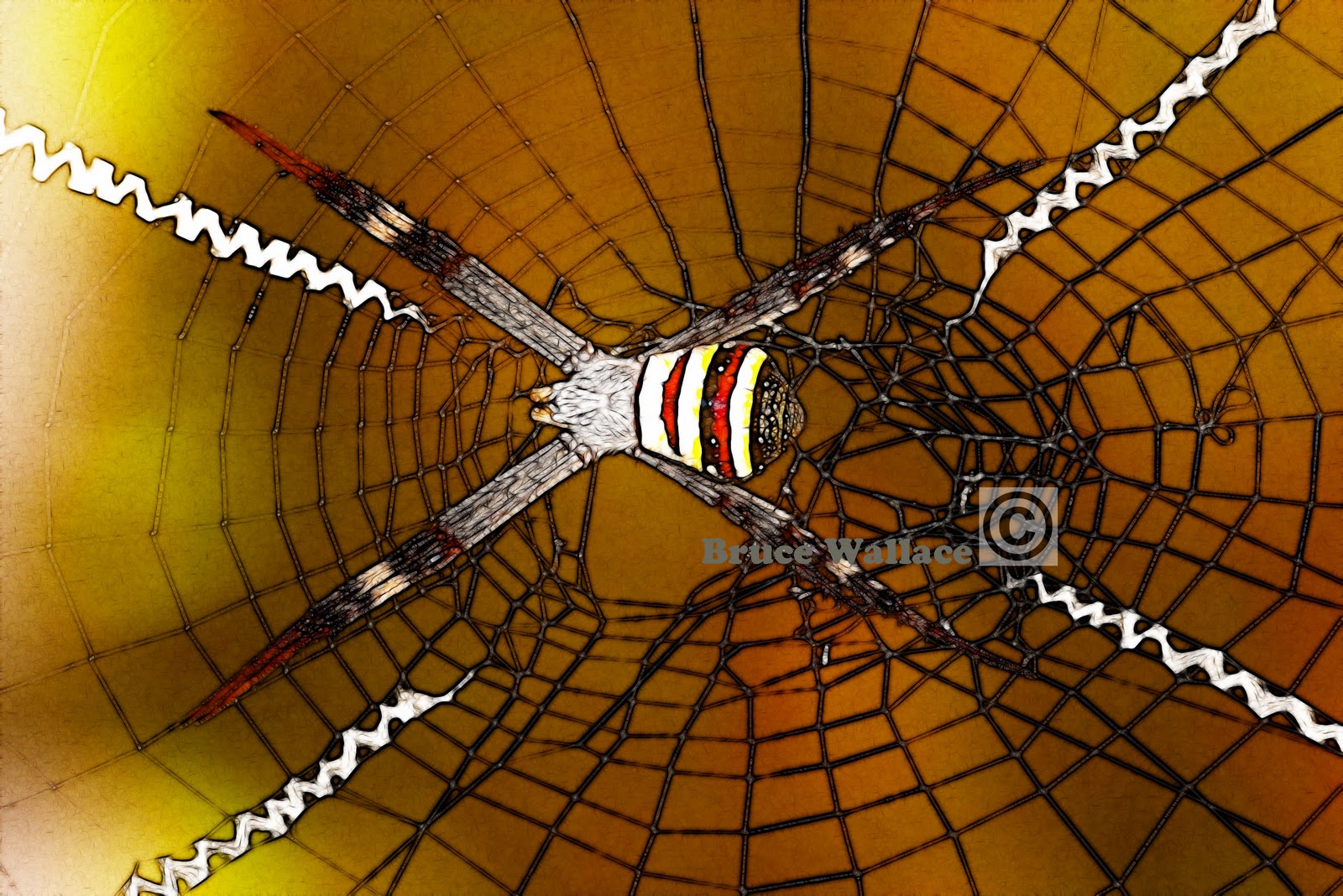 Great SouthLand Photography: Digital Images - Fractalius Filter