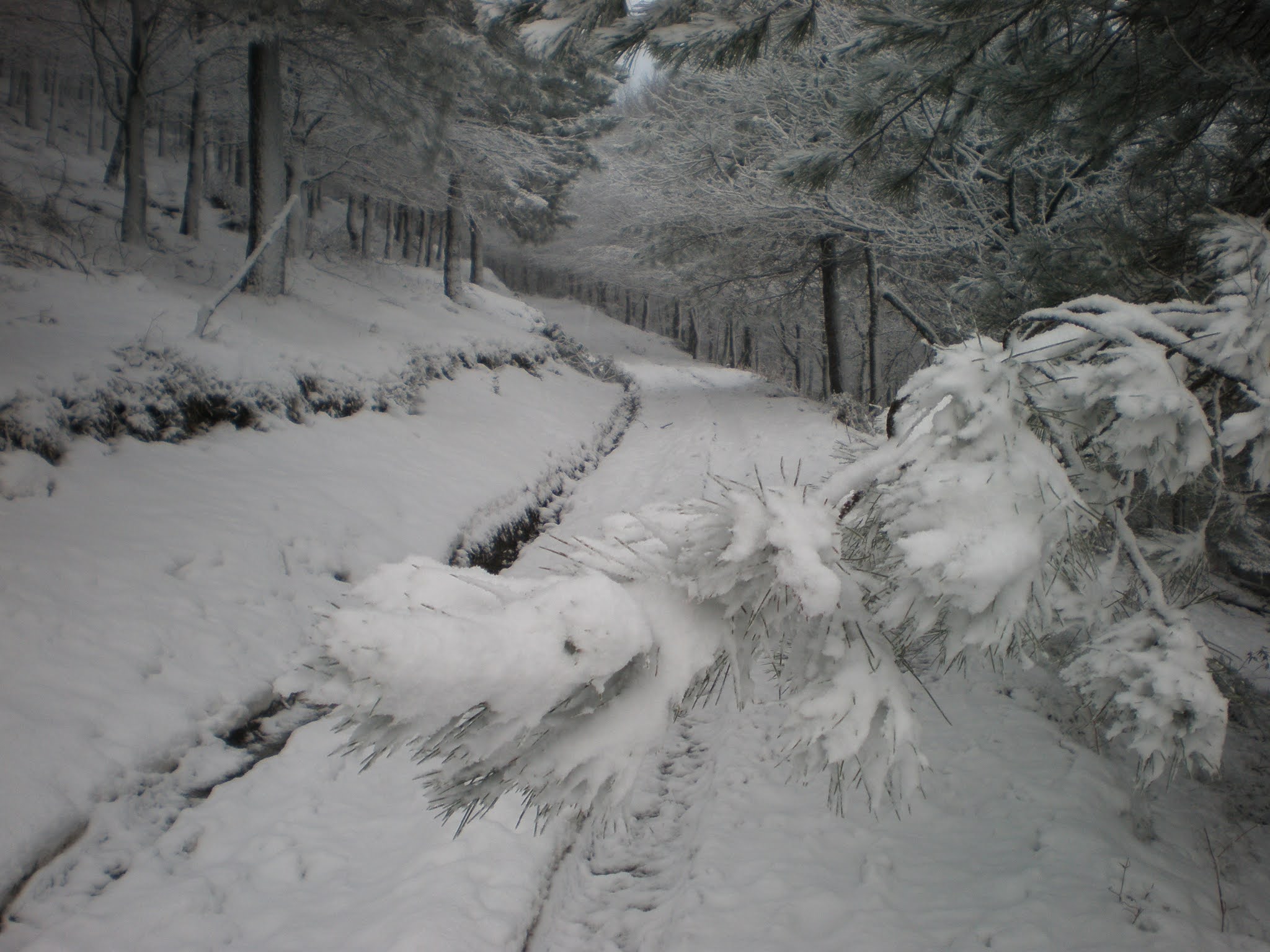 Zubero: Año de nieves... Ganekogorta, Arrabatxu y Pagero para empezar ...