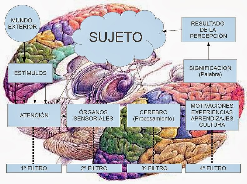 Deleitando se educa: 1. DESARROLLO SENSORIAL. PROCESOS SENSORIALES Y ...