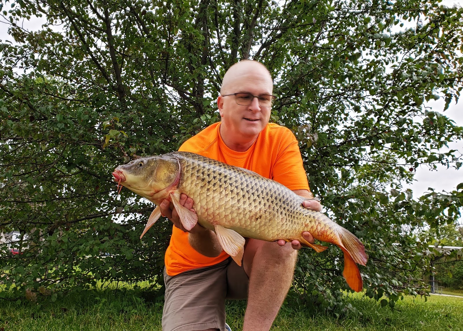 Michigan Carp Fishing Blog: carp fishing