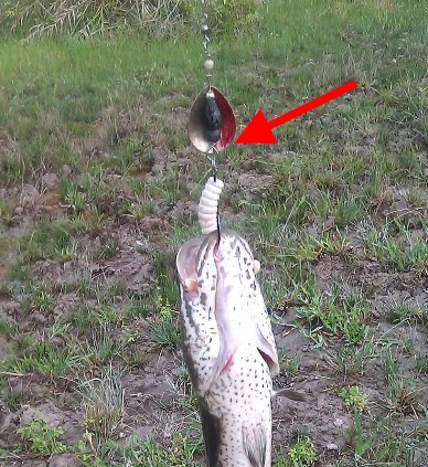 Lures - Inline Spinner | THE ANGLERS