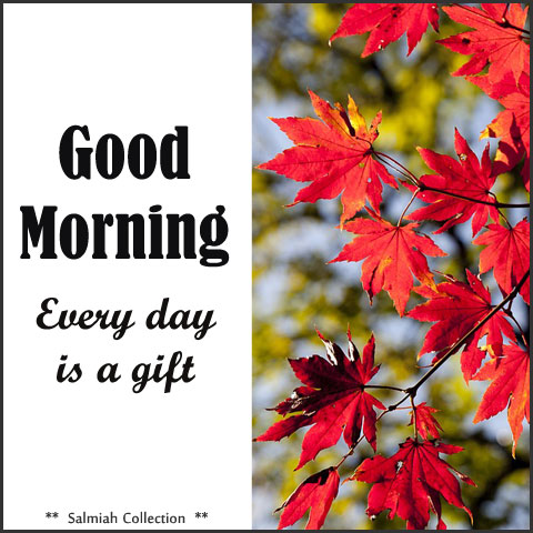 Good Morning Wish 42: Every day is a gift - Salmiah Collection