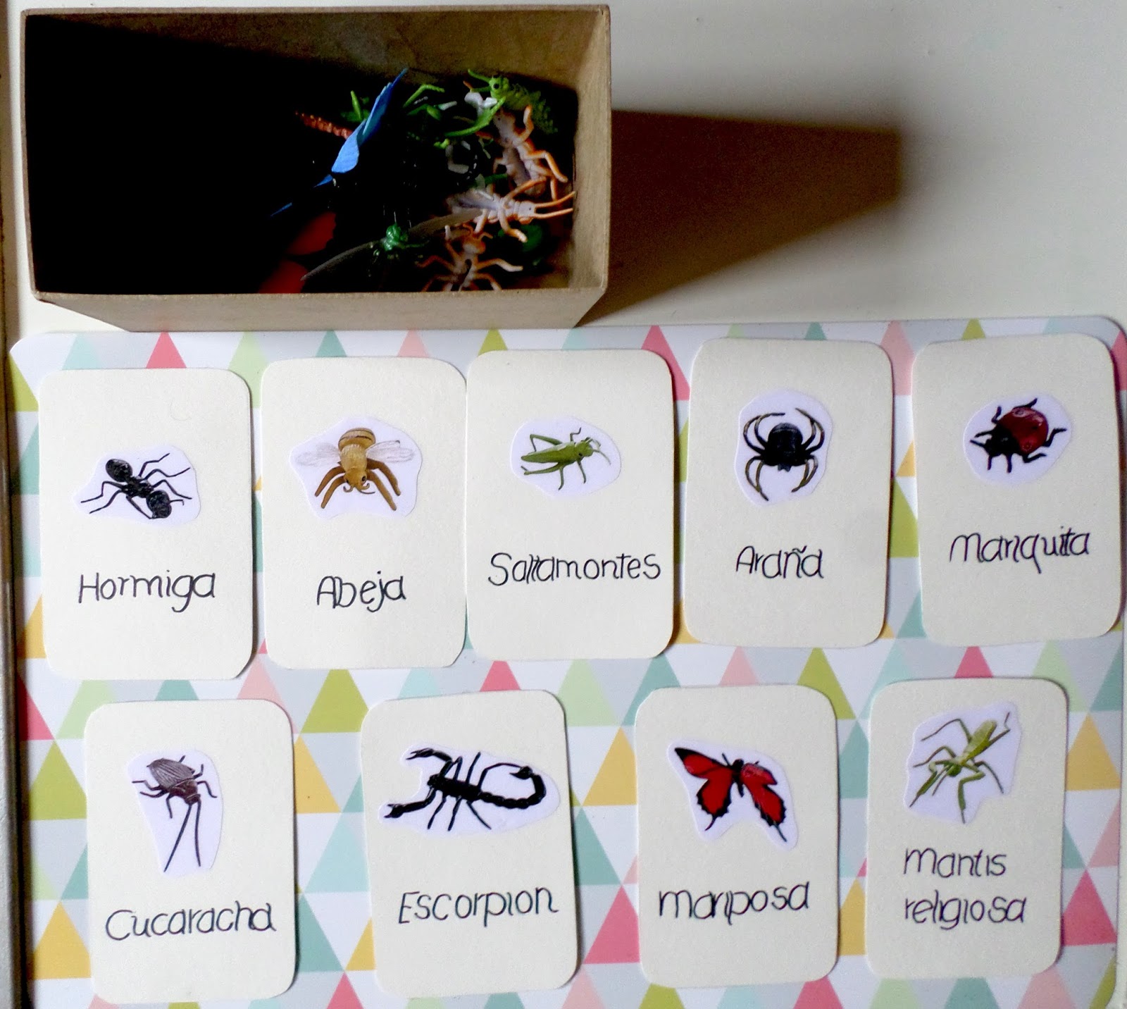 Fashion & Ideas for Puppy: Actividades insectos