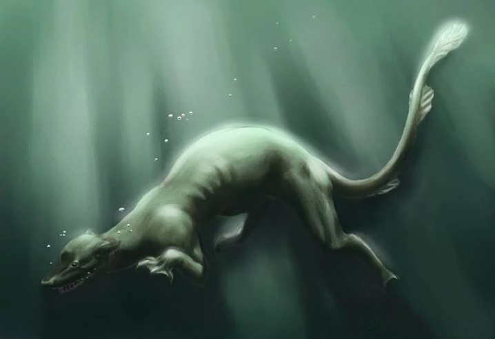 Dobhar-Chu – Cryptid Irish Water Hound?