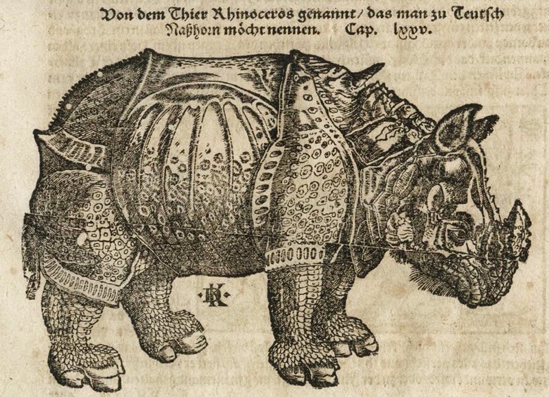 artbouillon: Dürer's Rhinoceros: Art, Exotica, and Empire