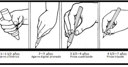 Etapas en el aprendizaje de la escritura Cómo y cuándo enseñar a los ...