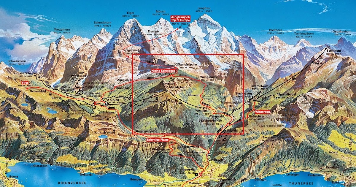 The Ecosystem of the Swiss Alps: Swiss Alps: Alpine Glacial Ecosystem