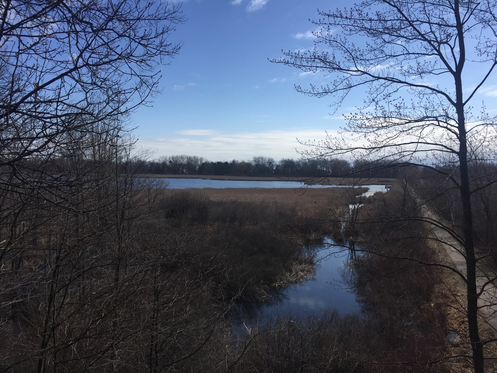 Travel Reviews & Information: Bay City, Michigan / State Recreation ...