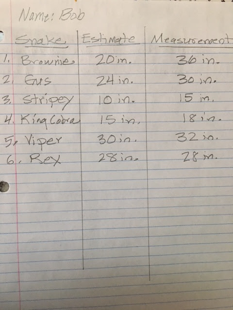 How Do You Measure a Snake? Answer: Very Carefully.