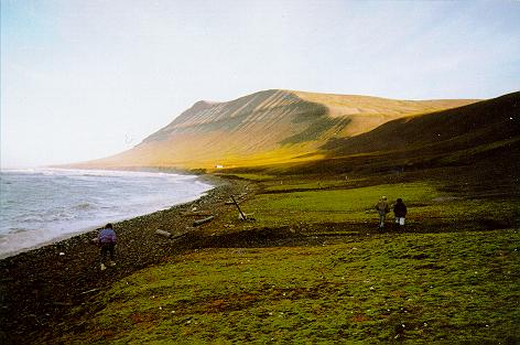 Hopen: your ice and sea...