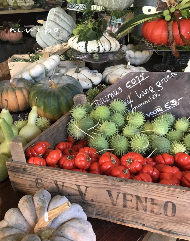 niwibo - life is so beautiful: Carin´s pompoen tuin oder Willkommen im ...