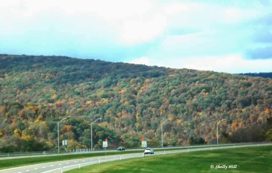 Pennsylvania & Beyond Travel Blog: Fall Foliage in Pennsylvania #FallInPA