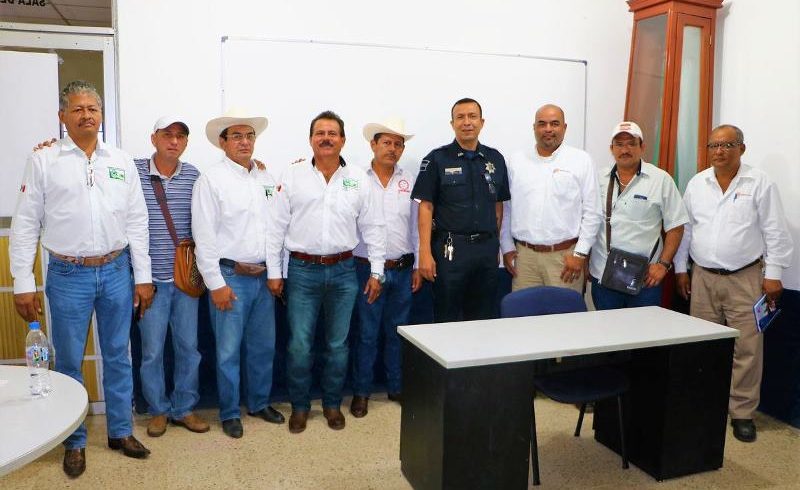 Bamba Política: Habrá mano dura para camioneros que no respeten las ...