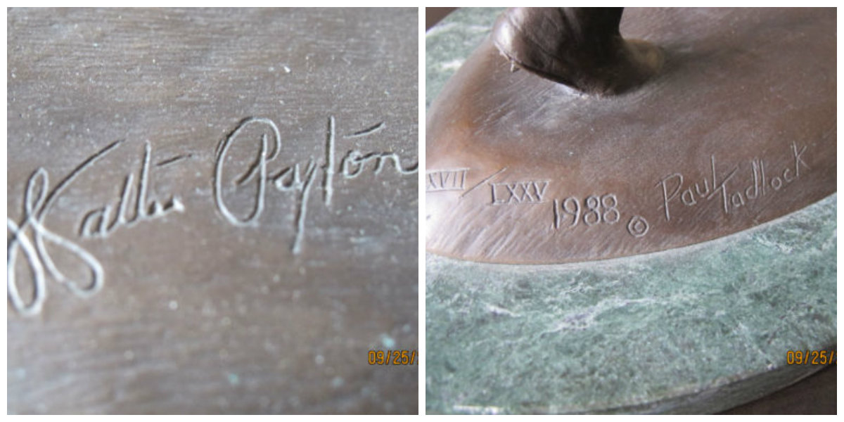 BearFanatic34's Chicago Bears Collection: Walter Payton