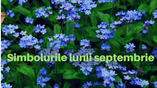 Simbolurile lunii septembrie - diane.ro