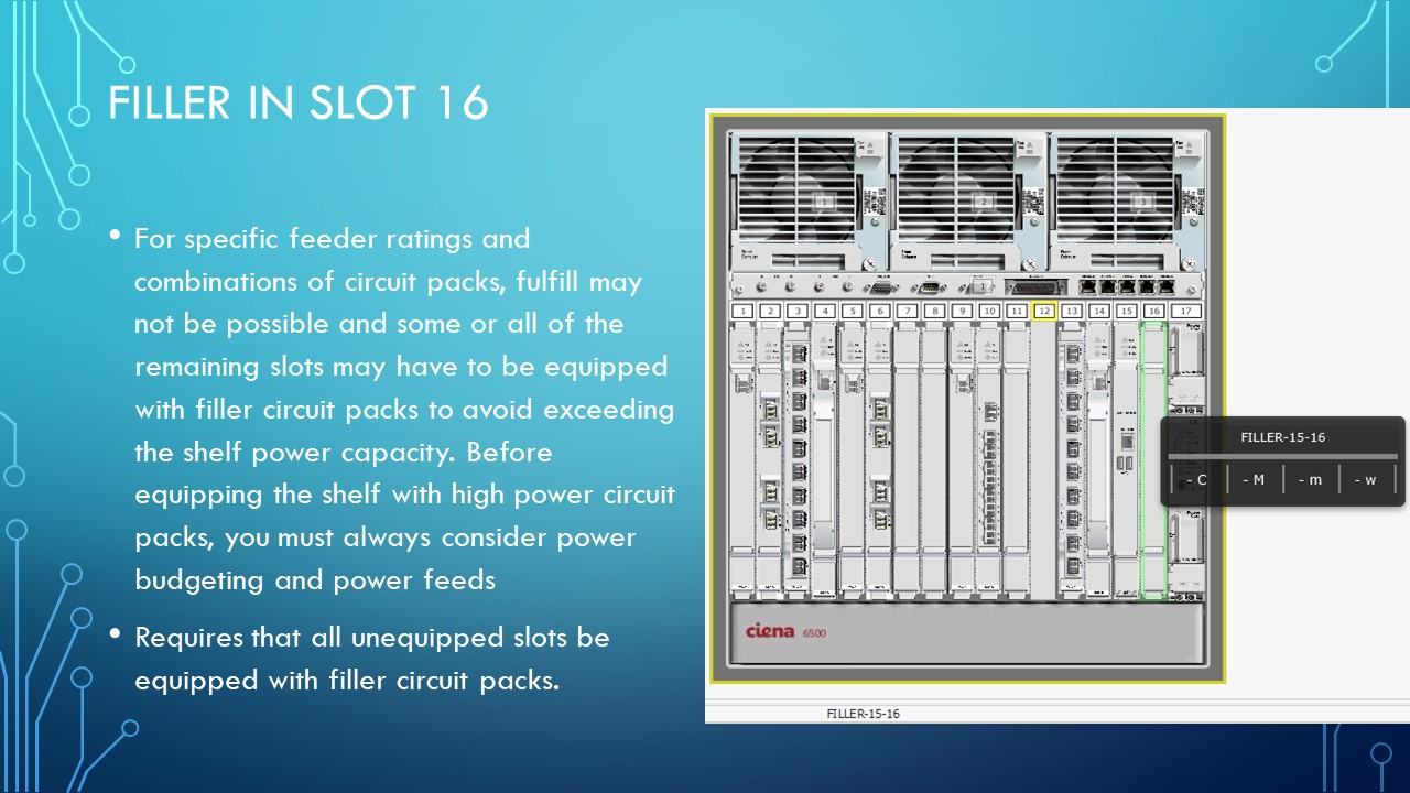DWDM/OTN: Shelf View of Ciena [6500 ] 14 Slot