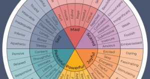 Article #9: The Feeling Wheel