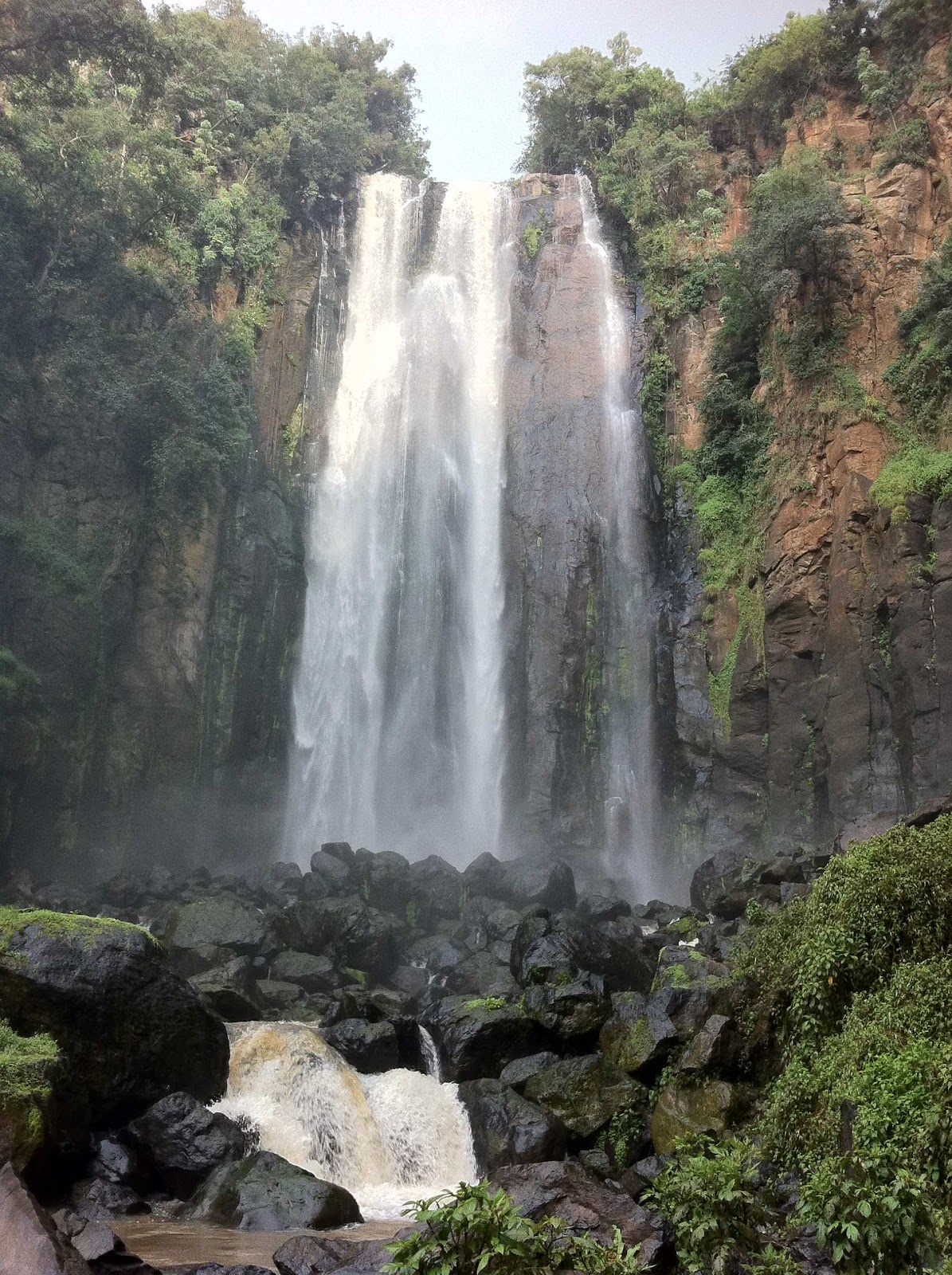 Dick Clark Architecture: Kenyan Scenery and Wildlife