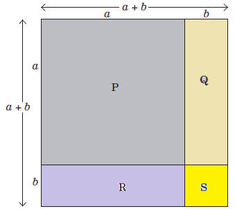 Identities, Standard Identities, Geometrical Representation of Identities