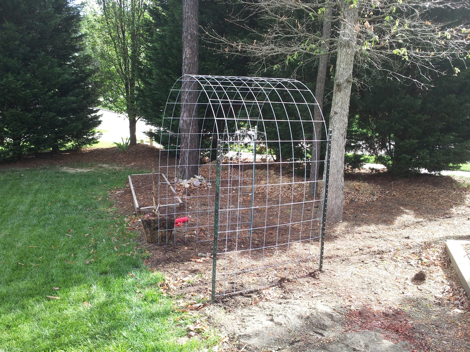 Rick's Roots - A Gardening Blog: Cattle Panel - Multipurpose gardening ...