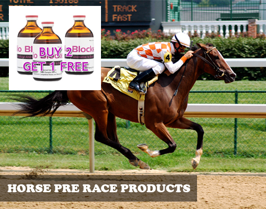 Horse Pre Race Products: Pre Race Products - The Best Treatment To ...