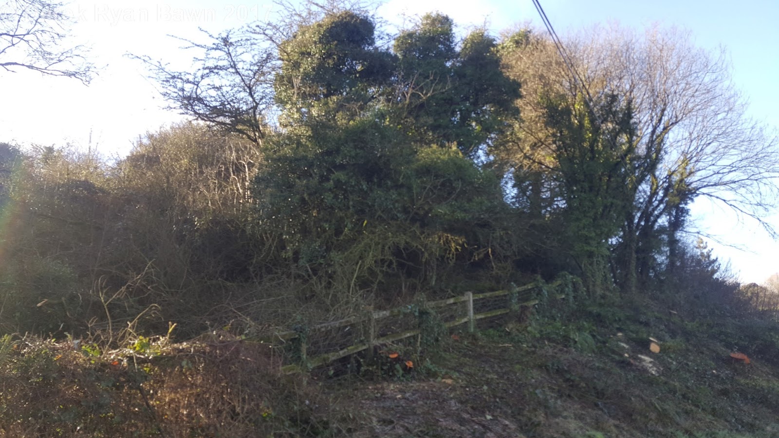 The Tipperary Antiquarian: O' Sullivan Beare soldiers buried near ...