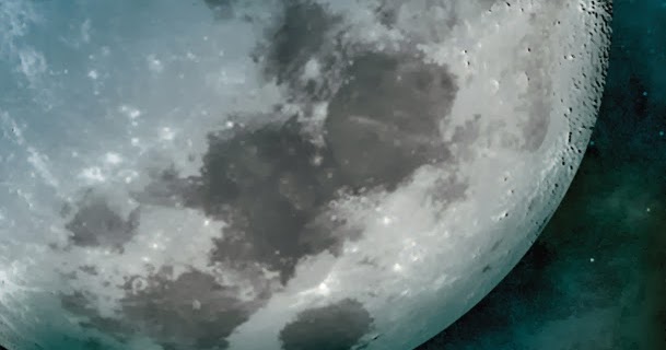 The Shade Of The Moon By Susan Beth Pfeffer | Diva Booknerd