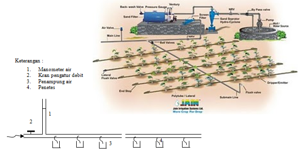 catatan kuliah: Irigasi tetes (Drip Irrigation)