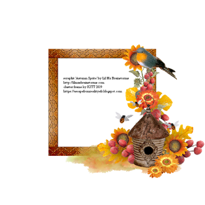 Escape From Reality Blog: FTU 'Autumn Sprite' Cluster Frames LMB