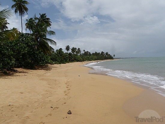 tbanjo: Puerto Rico: Bio Bays, El Yunque or Pinones?