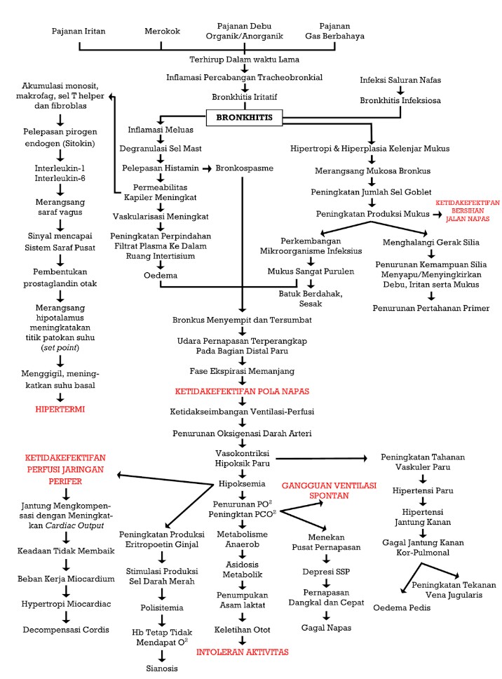 Tugas paliatif, pathway Bronkitis Kronis