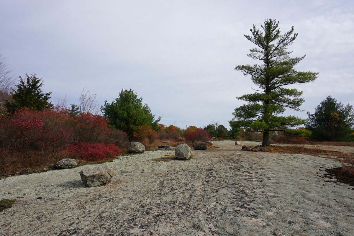 Harriman Hiker: Harriman State Park and Beyond: Hogencamp Mountain and ...