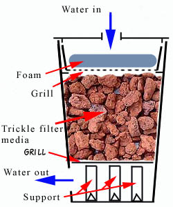 Marine Aquarium - 1994 onwards: Filtration - Trickle Filter