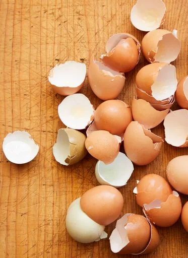 Common Egg Cooking Mistakes You Might be Making - Fresh Eggs Daily ...